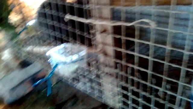 2018г.Обзор хозяйства август