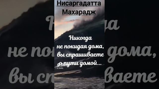 Вы не можете стать тем, что вы уже есть. Нисаргадатта Махарадж #просветление #истина #ум #свобода