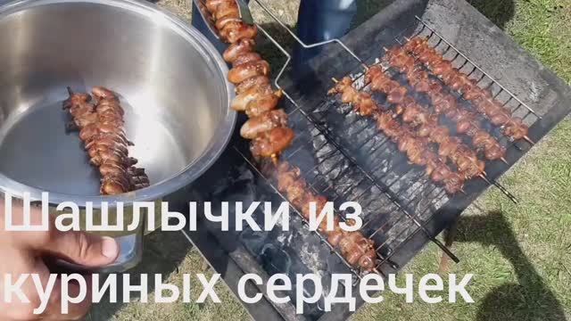 Шашлык!!!! из куриных сердечек! Осторожно, вызывает привыкание)