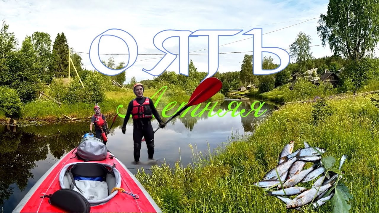 Река Оять летняя. Без воды, но с рыбалкой :)) Июнь 2019 г.