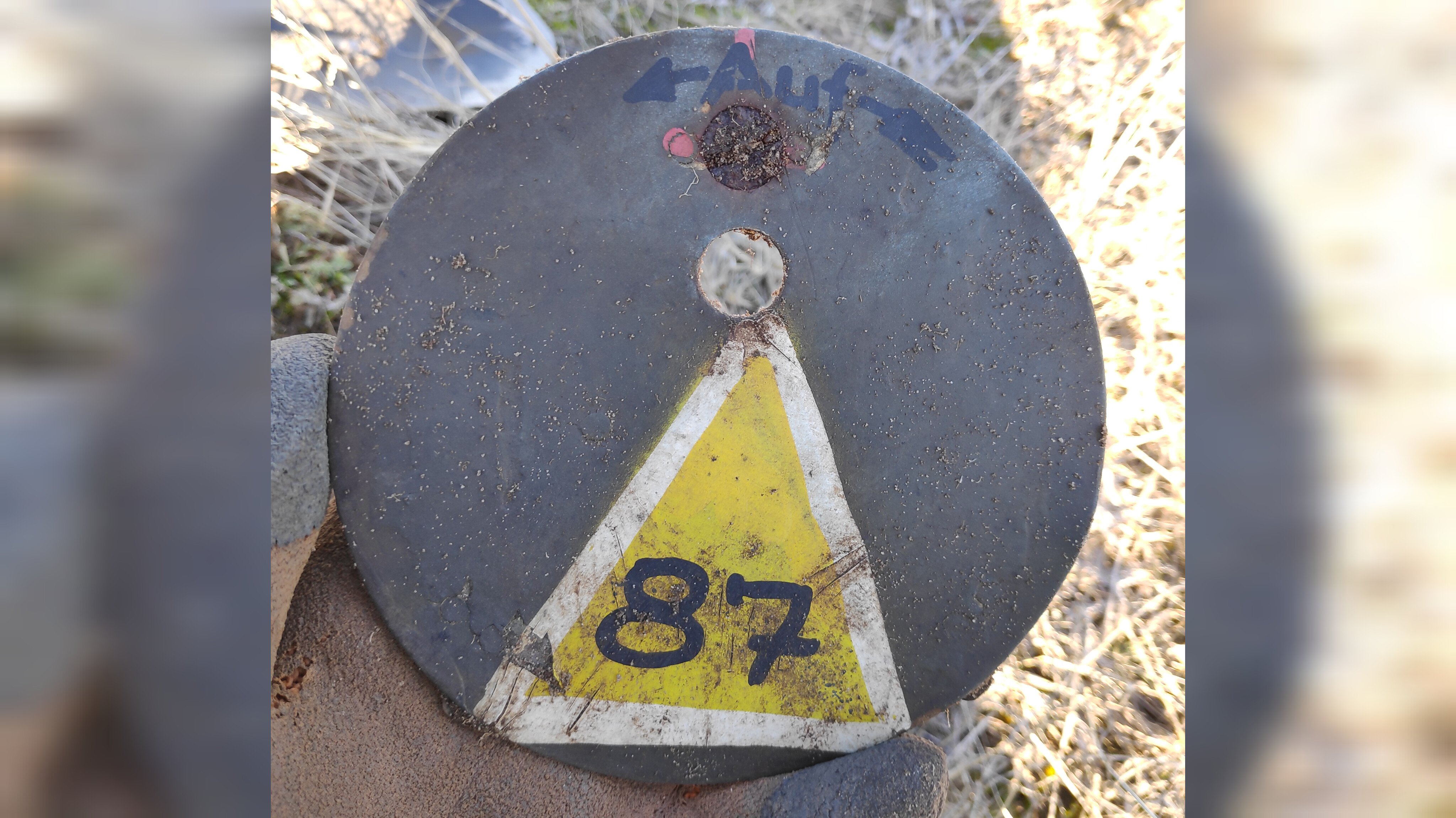 Нашли немецкий самолет времен ВОв. Часть 1