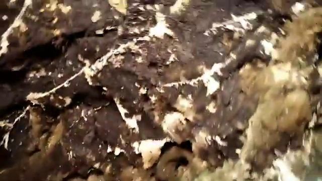 ВИДЕО ИЗ ДРЕВНИХ ПЕЩЕР!!!