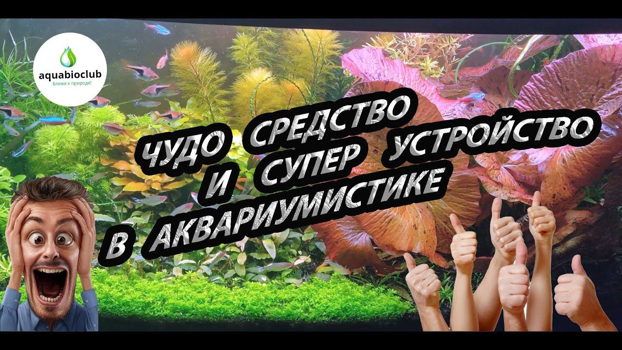 Чудо средство и супер устройство в аквариумистике. Все про Перекись и Оксидатор.