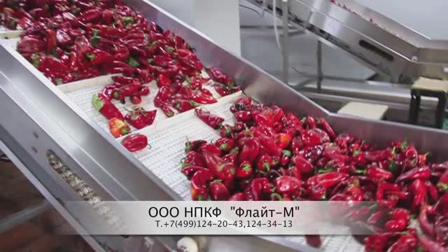 Линия производства овощного пюре (переработка перца)