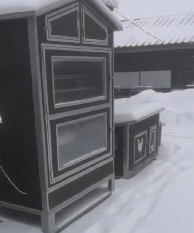 Ферма Михайловская Слобода_ есть все для птицеводства  #птицеводство #птичник #курятник #shorts