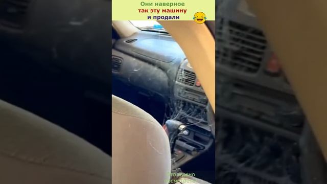 паук поселился в машине
