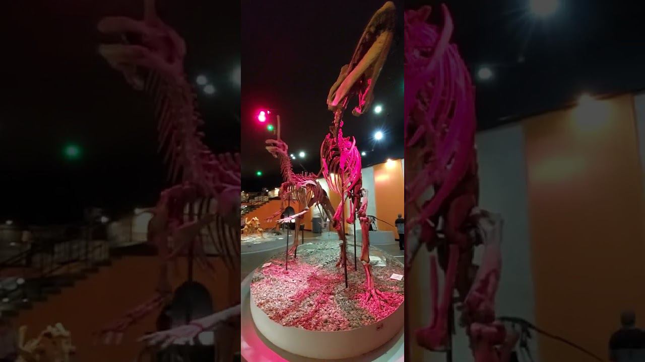 Музей Пермских древностей