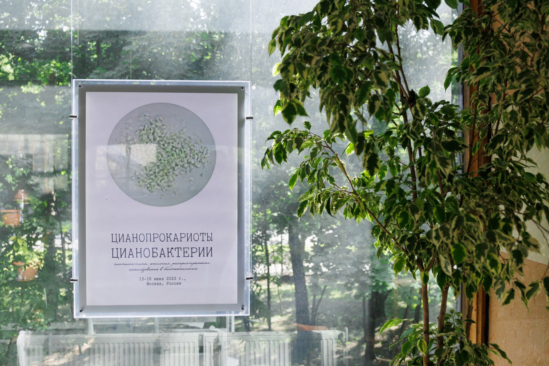 V Международная научная школа-конференция «Цианопрокариоты/цианобактерии»