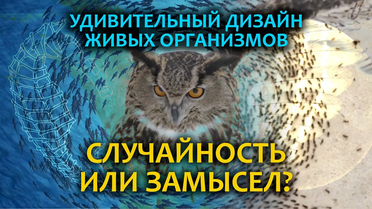 Случайность или Замысел? — Удивительный дизайн живых организмов (1 часть)