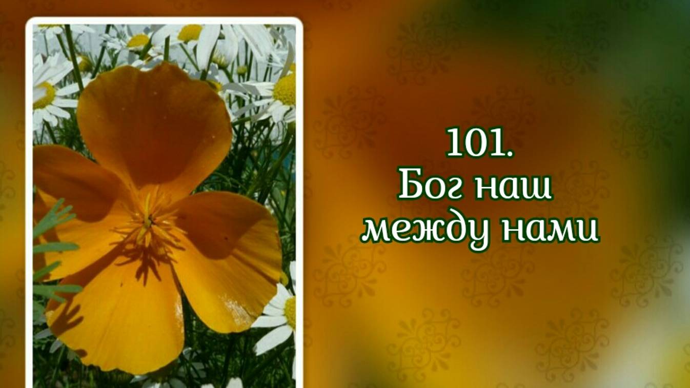Гимны надежды 101 Бог наш между нами (-)