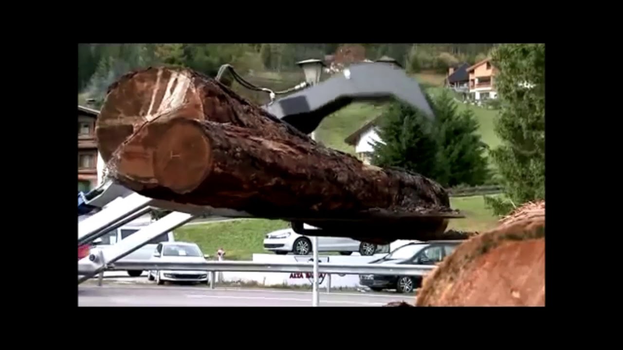 Вилы с гидравлическим прижимом (бревнозахват) для минипогрузчика MultiOne