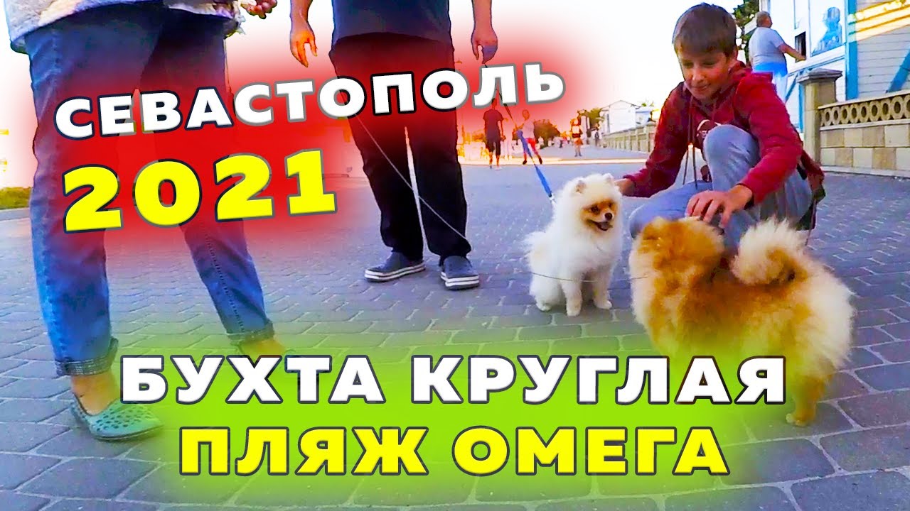 Шпиц в Крыму. Бухта Круглая. Пляж Омега. Памятник Андрею Первозванному. Провожаем закат