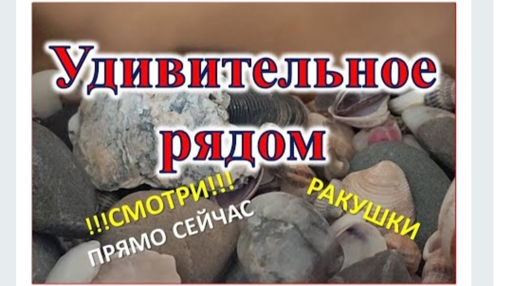 Удивительное рядом. Ракушки. Александра Миркушова