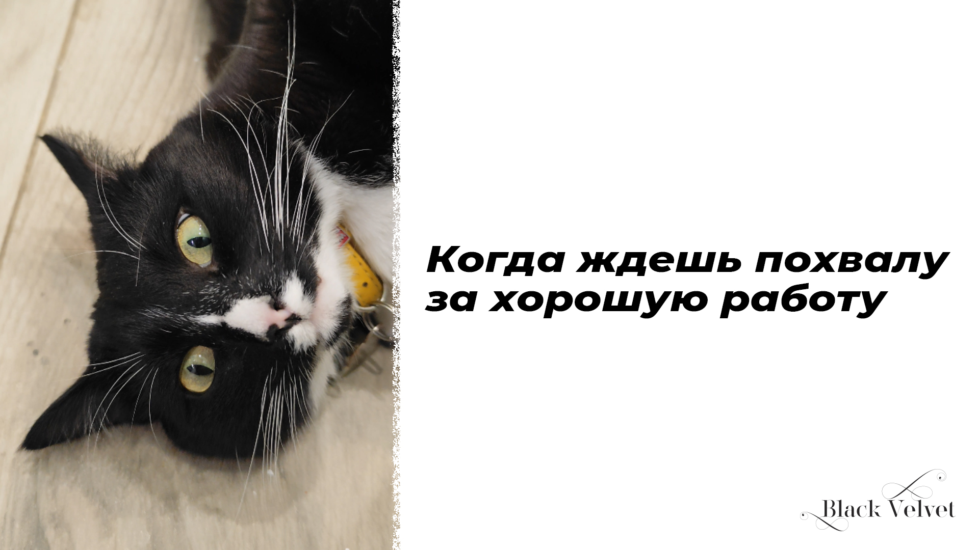 Когда ждешь похвалу за хорошую работу ??