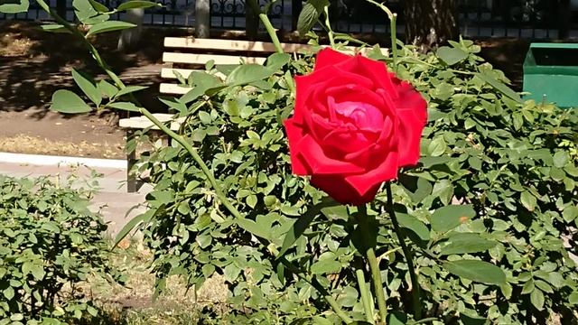 Слайд-шоу моих круизных воспоминаний под "Арию Хозе" - 2 вариант