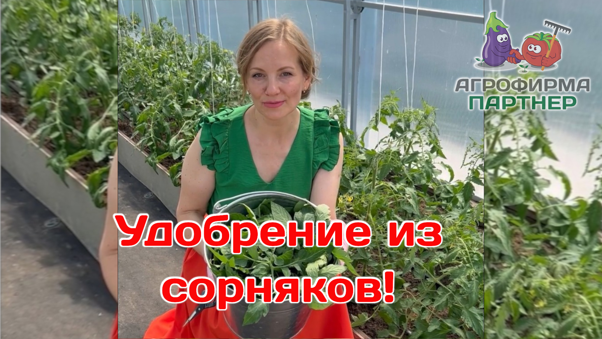 Не спешите прощаться с огородными сорняками и томатной ботвой