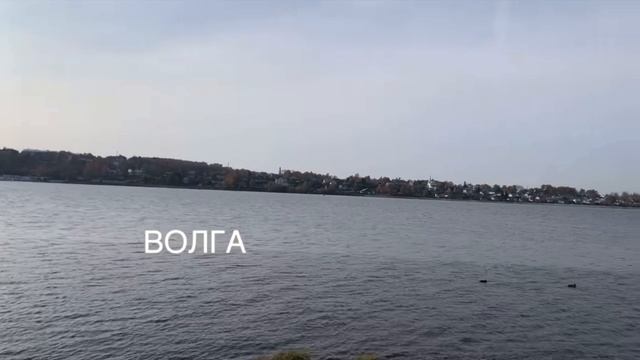 Костромская область