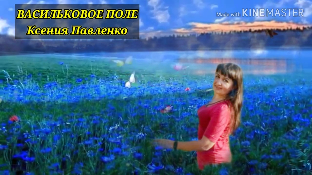 "Васильковое поле".  стихи Ксении Павленко