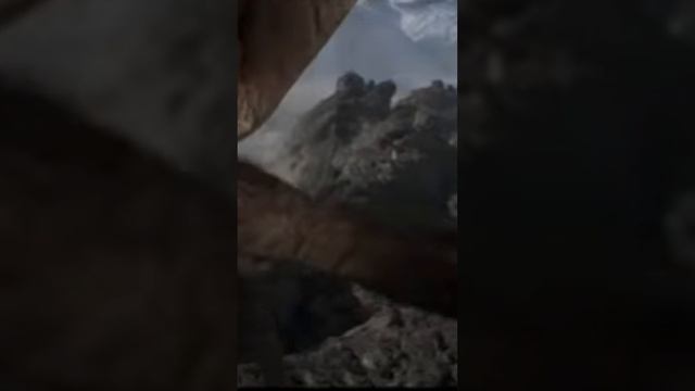 Бизнес на маркетплейсах плюсы и минусы. Маркетплейсы или свой магазин одежды?  #gofox #wildberries