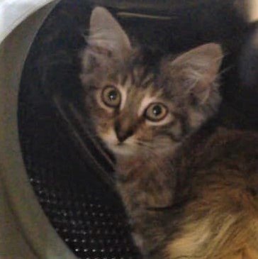 ГРЭЙС ЗНАКОМИТСЯ С БЕГУЩЕЙ ВОДОЙ...