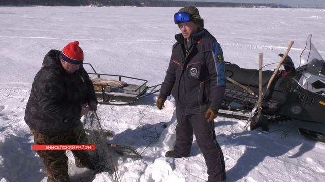 ЕНИСЕЙСКАЯ РЫБООХРАНА СНЯЛА БРАКОНЬЕРСКИЕ СЕТИ