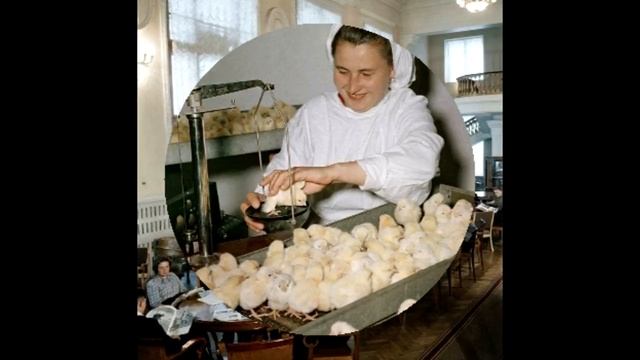 Советские лица в фотографиях Семена Фридлянда. Как молоды мы были.mp4