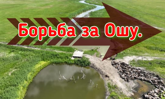 Борьба за Ошу.