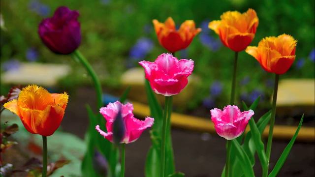 С 8 марта 2024 г...