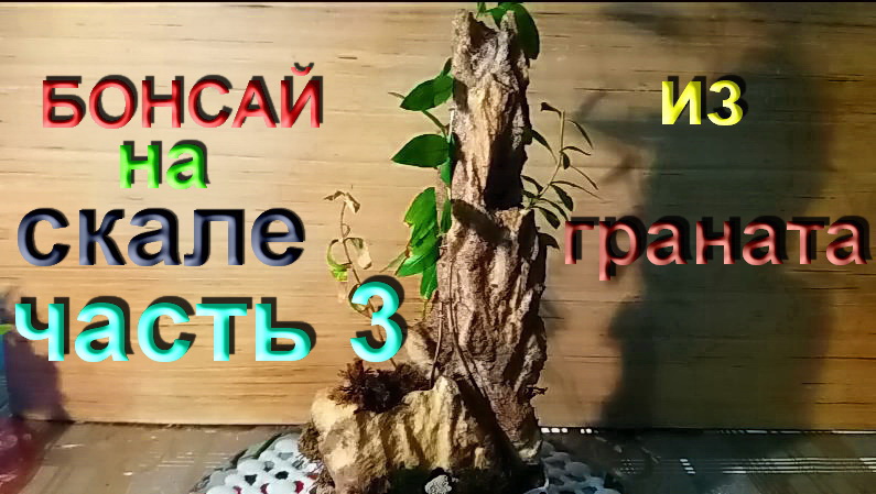 3.Бонсай на скале из граната часть 3.