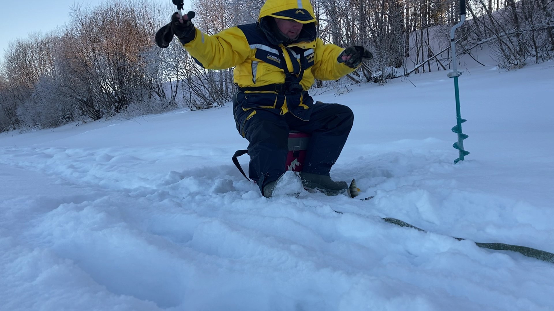 ДВА ДЕСЯТКА ОКУНЕЙ С ОДНОЙ ЛУНКИ НА МОРМЫШКУ