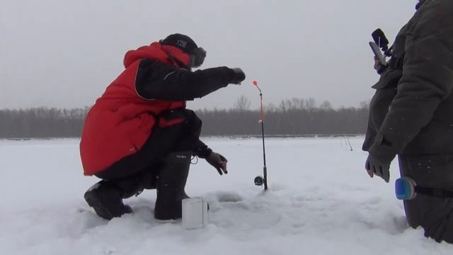 Язи атакуют на течении. Комбайны спасли рыбалку..mp4