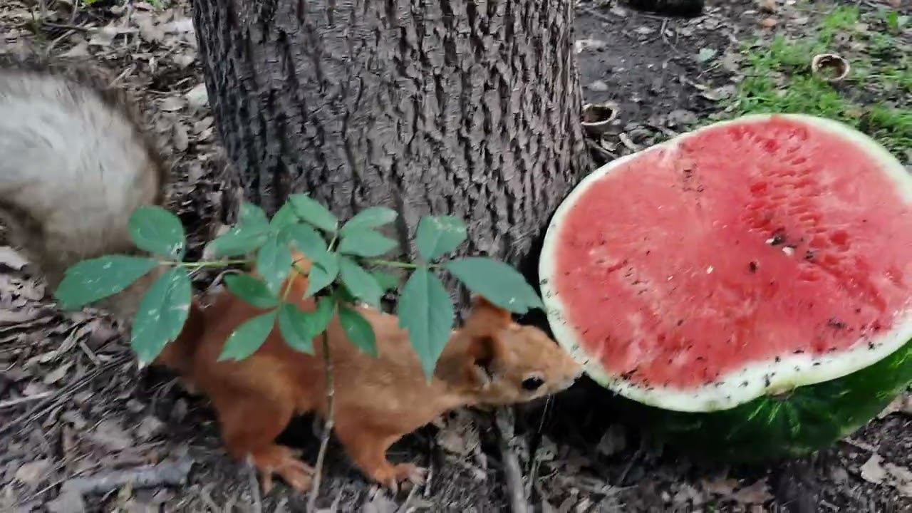 18 августа 2023 г.