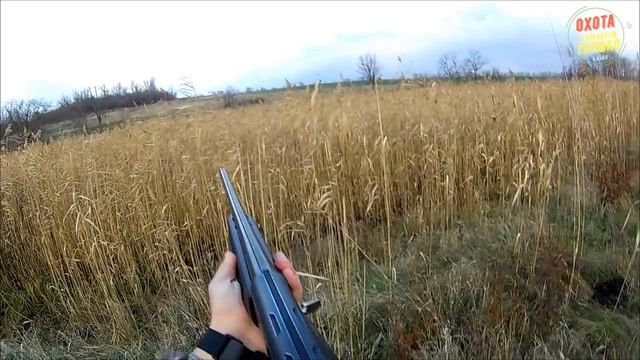 (18 ) ОХОТА НА УТКУ С ПОДХОДА #14 (СЕЗОН - 2017. ОСЕНЬ).mp4