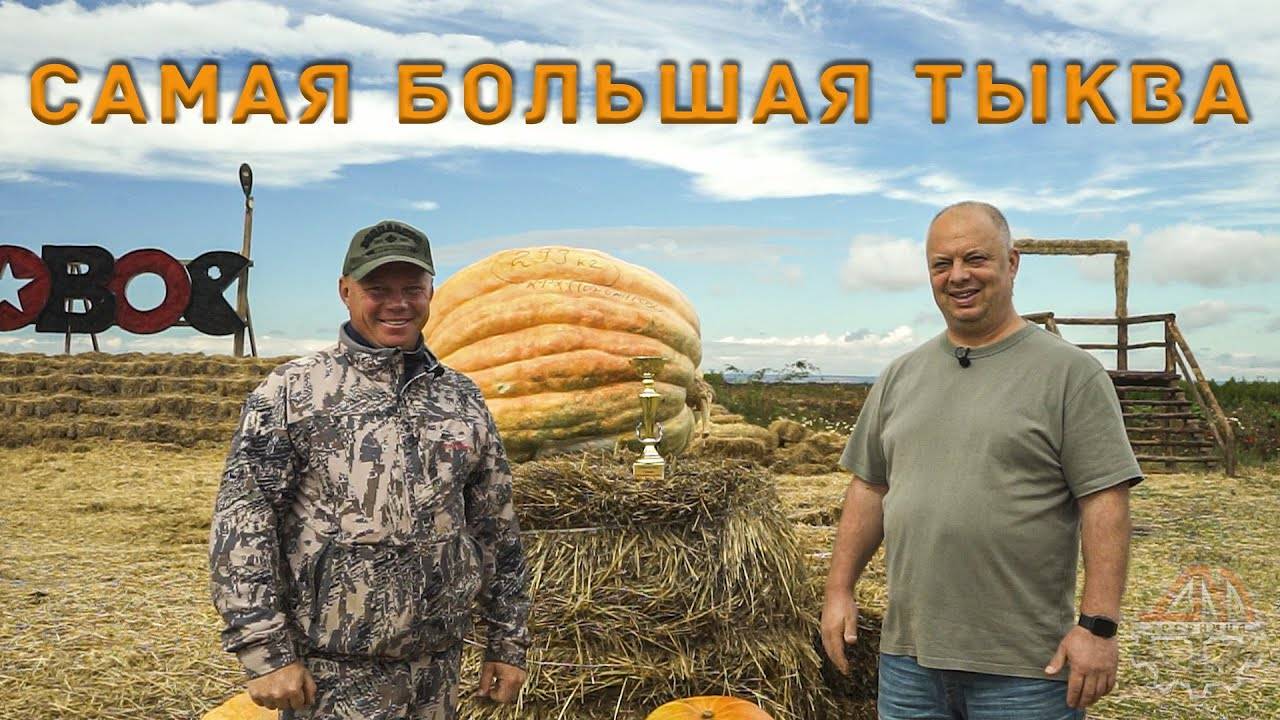 Самая большая тыква 2022