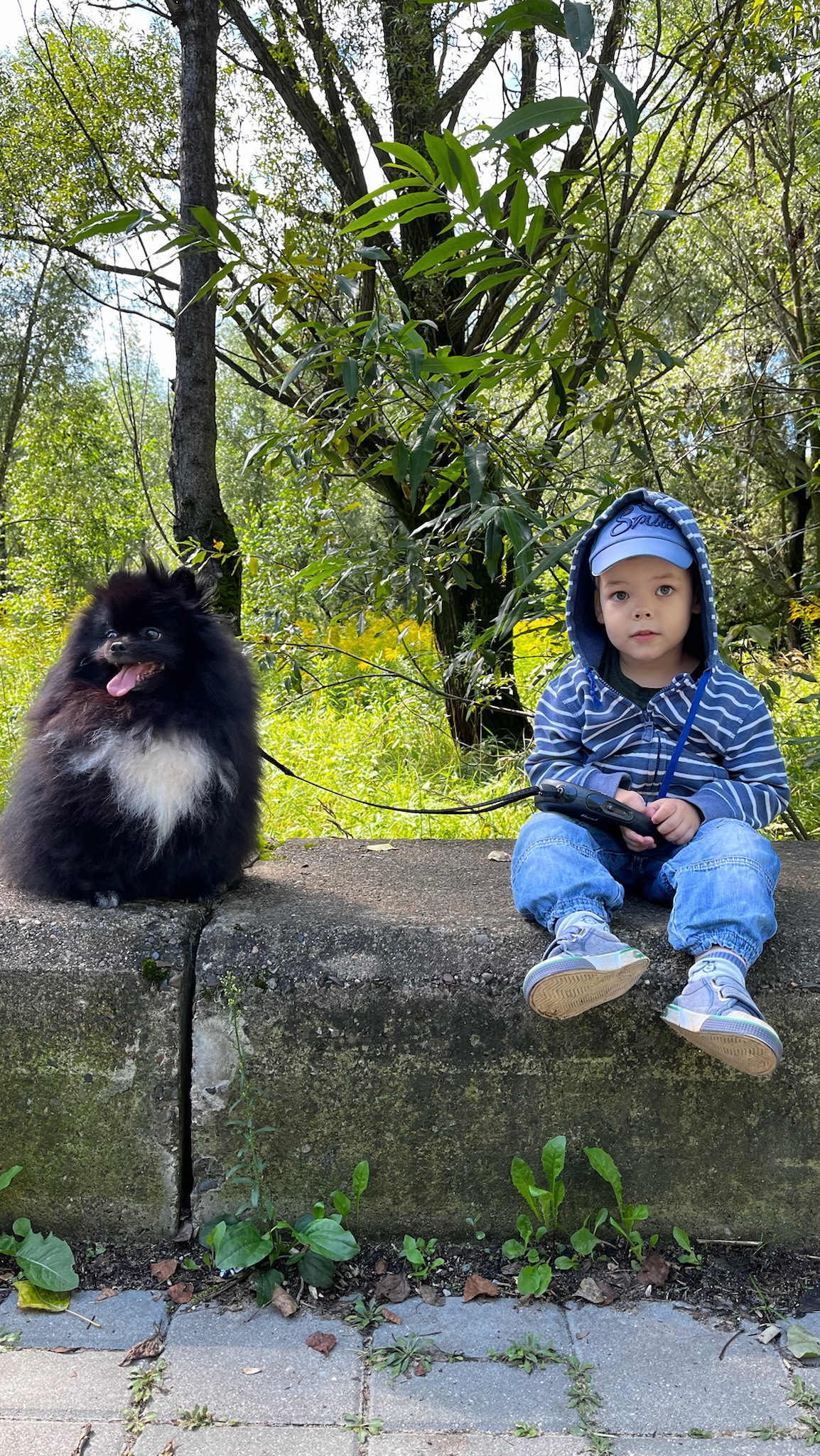 Прогулка с собакой