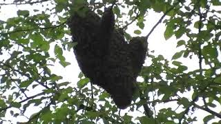 7 тысяч рублей за 10 минут.mp4