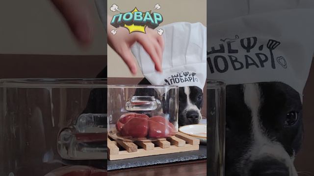 Говяжьи почки! Оценка от стаффи 🍽️ #стаффи #повар #рецепт #собака #кухня #говядина #почки #животные