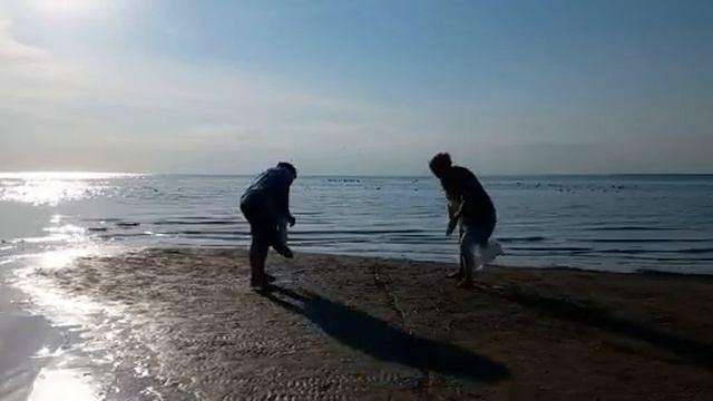 2022 08 17 Этюды на заливе [PzGXbQsE6ys]