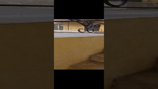 это Питер детка