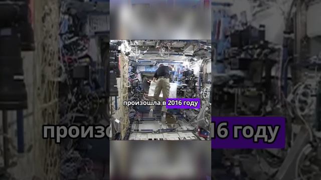 1304-Горилла-в-космосе-костюм-мкс-SUB