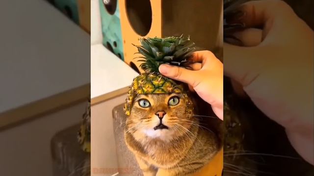 шлем ананас