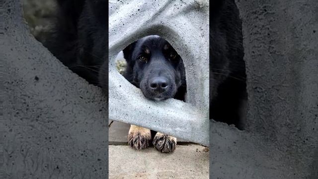 Марта грустит - не уходи!