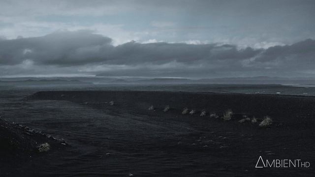 Max Million - Monogramma