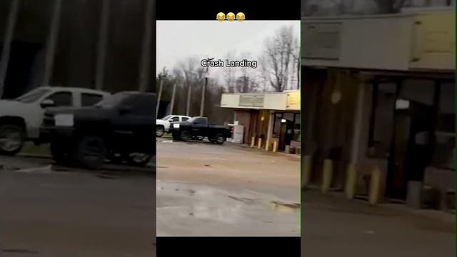 Видо про забавных животны, смешных котов и забавных собак