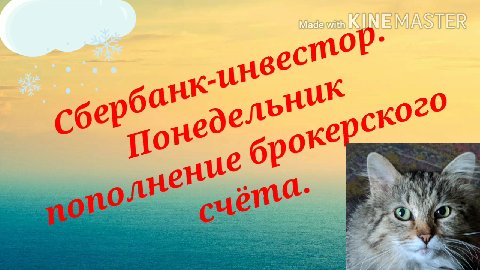 Сбербанк-инвестор. Понедельник пополнение брокерского счёта..mp4