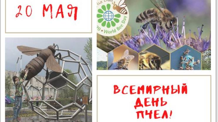 Приснилось мне... Раиль Хисматуллин