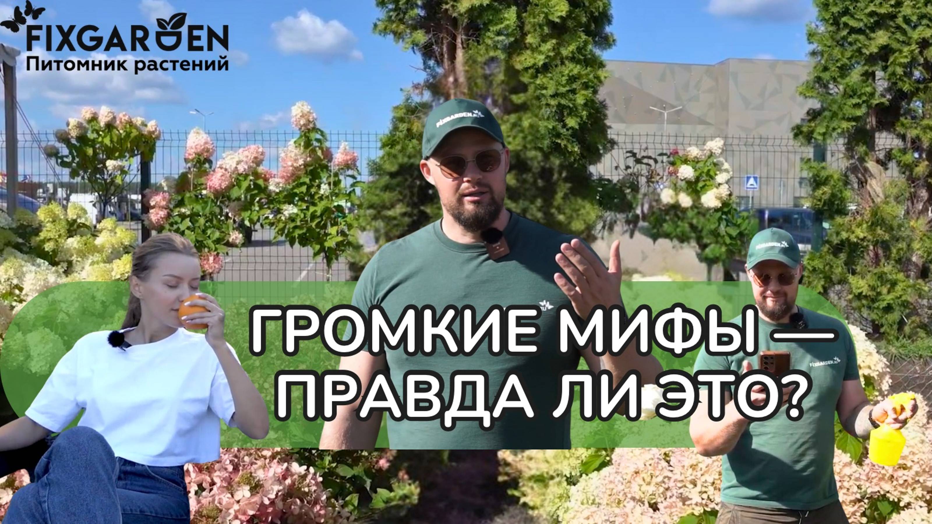 Громкие мифы - правда ли это?