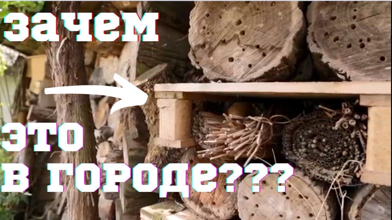Очарование дикого сада