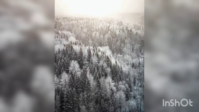 Верните в моду доброту