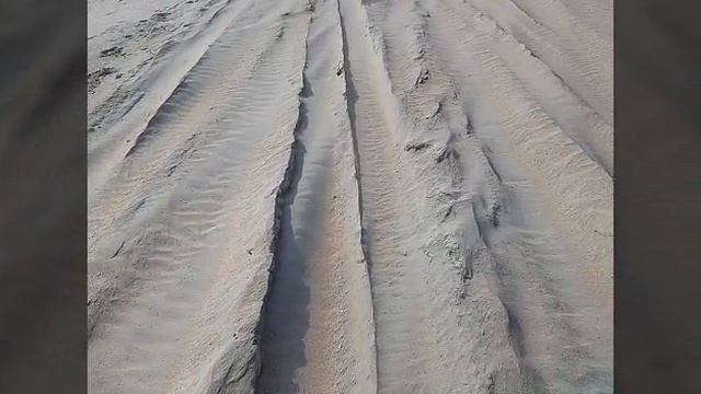 русско_индийский_апрель